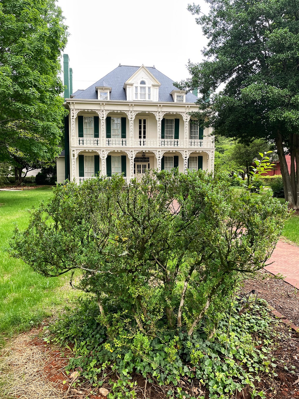 Hall House Boxwood Pens - Historic Salisbury Foundation